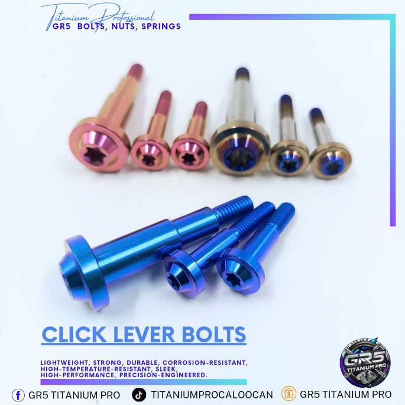 CLICK LEVER BOLTS SET 3pcs plain head GR5 Titanium | Shopee Philippines