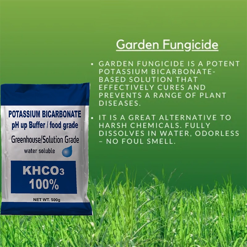 POTASSIUM BICARBONATE ORGANIC FUNGICIDE - FOOD GRADE | Shopee Philippines