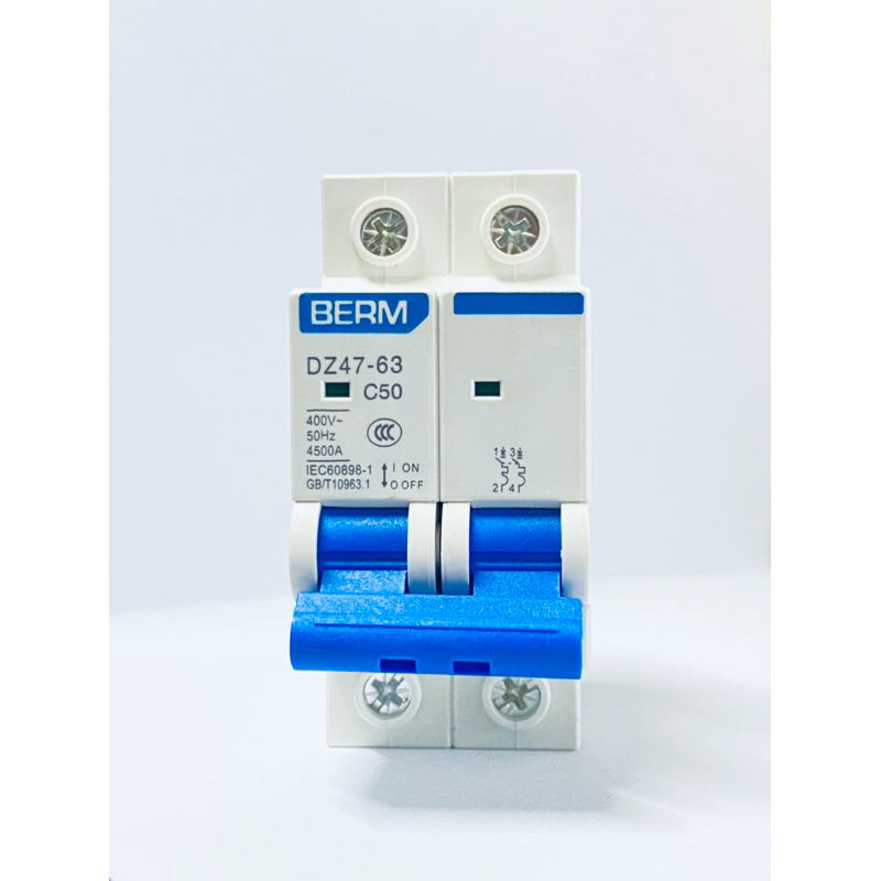 Two-poles 220V AC Main Breaker - 50AMPS | Shopee Philippines