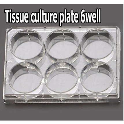 LBT 6 WELL TISSUE CULTURE PLATE per piece | Shopee Philippines