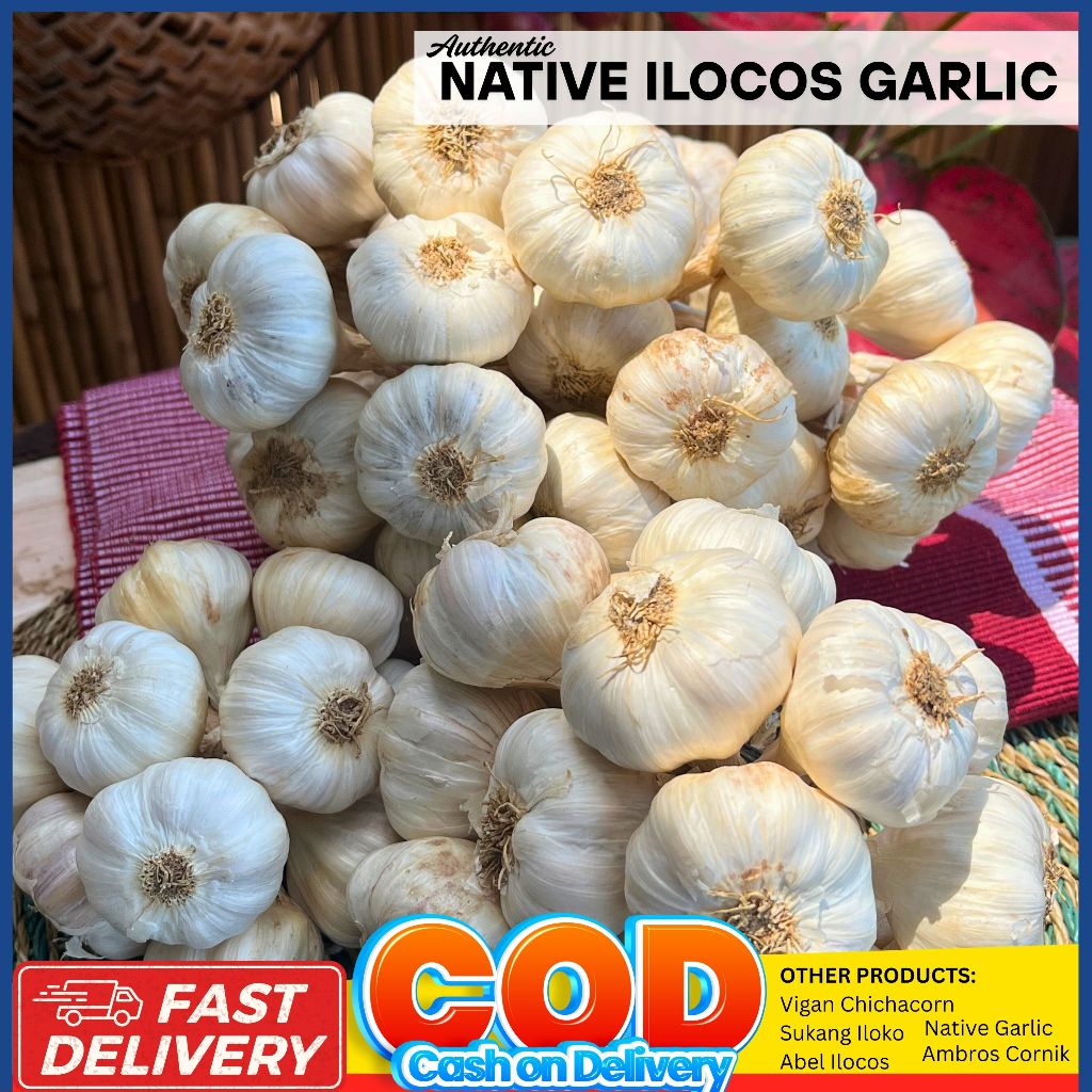 Native Garlic Bawang Ilocos Native Garlic Bawang Ilocos Pickled Garlic ...