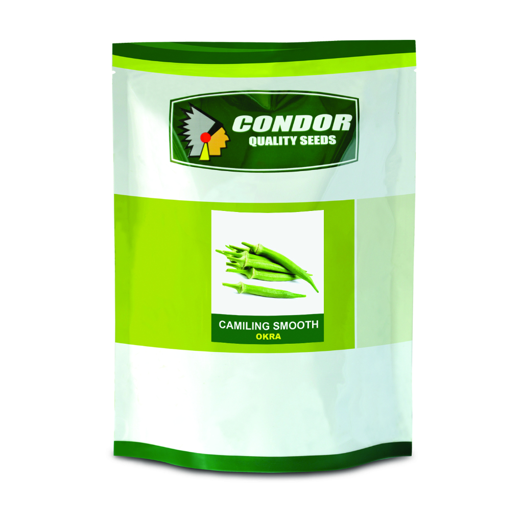 CAMILING SMOOTH (1KG) OKRA CONDOR QUALITY SEEDS | Shopee Philippines
