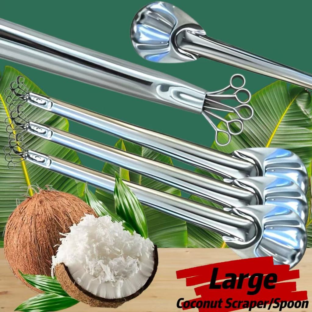 BINLU Stainless Steel Coconut Meat Scraper & Grater - Multi-Purpose ...