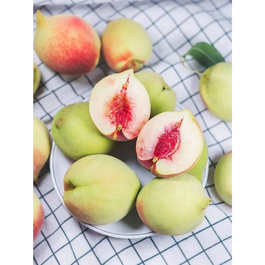 Grafted olecranon peach, improved peach variety, cup seedlings, shipped ...