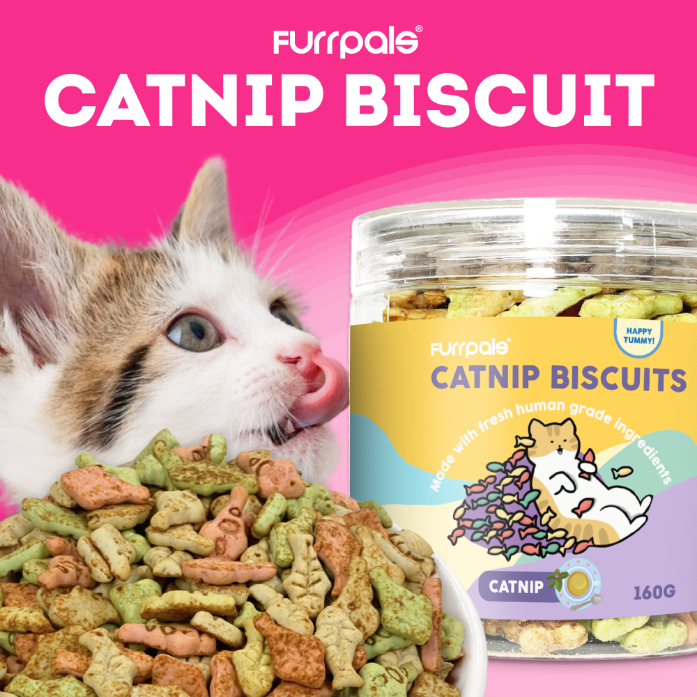 Furrpals Catnip Biscuit Cat Cookies Chicken+Fish+Mint Flavor 160g Molar ...