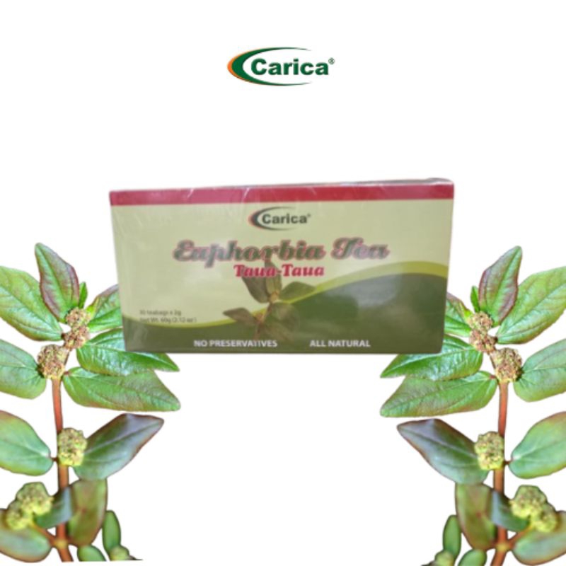 Carica Euphorbia Tea (Tawa Tawa Tea )30s | Shopee Philippines