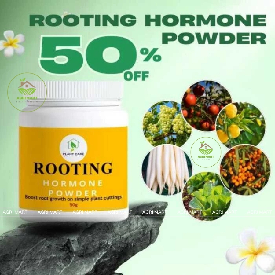 [NEW] ROOTING HORMONE POWDER 50G - Super Fast Rooting Hormones For ...
