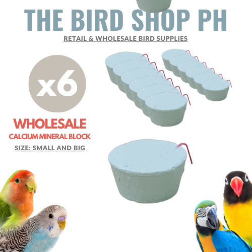 The Bird Shop PH [WHOLESALE] Bird Mineral Calcium Block 6pcs 12pcs ...