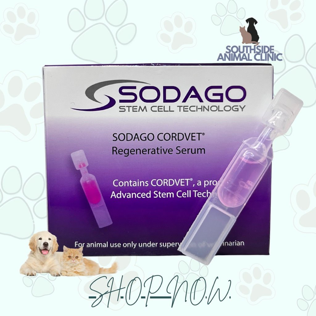 SODAGO STEM CELL TECHNOLOGY (SODAGO CORDVET) FOR DOGS AND CATS 1ML ...