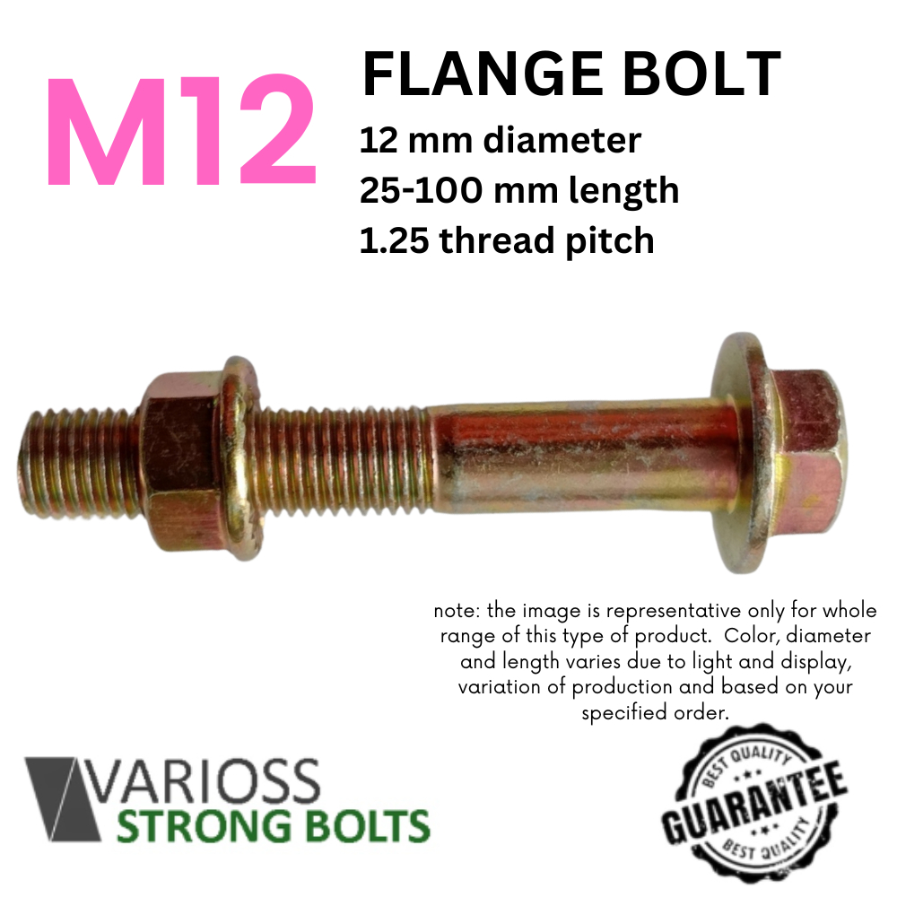 M12 Flange Bolts M12, 12pcs/order, 12 mm diameter x 25-100 mm length ...
