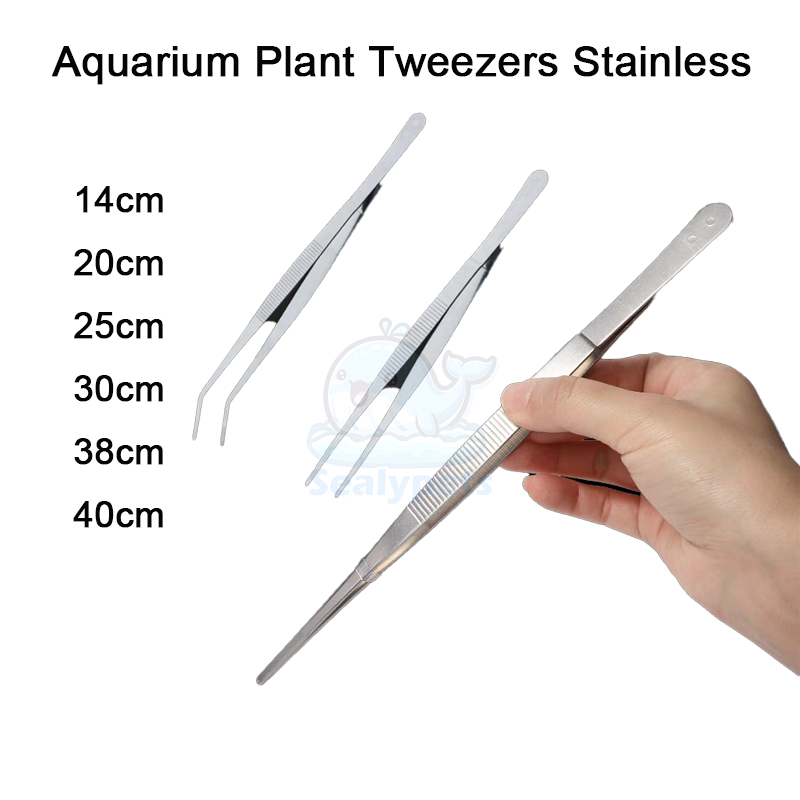 Stainless Steel Straight/ Curved Tweezer Feeding Tongs Aquarium ...