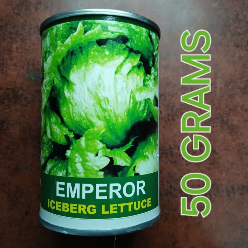 EMPEROR (50 GRAMS) ICEBERG LETTUCE SEEDS BY CONDOR | Shopee Philippines