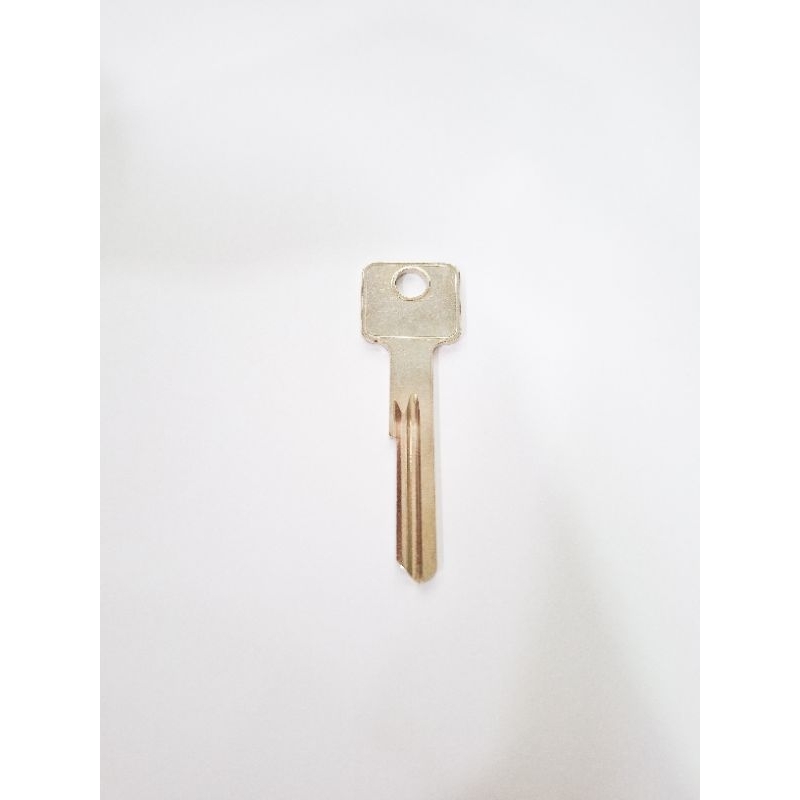 101 EXTRA LONG ORIGINAL HCS BLANK KEYS | Shopee Philippines