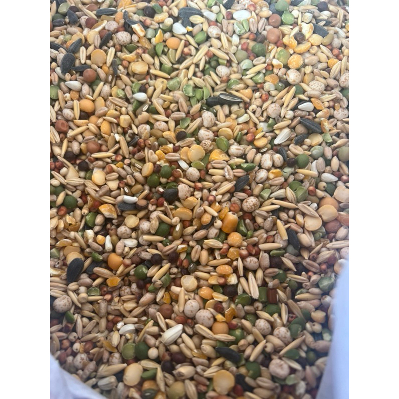 SPEED Conditioner 1kg - Feeds For Gamefowls | Shopee Philippines