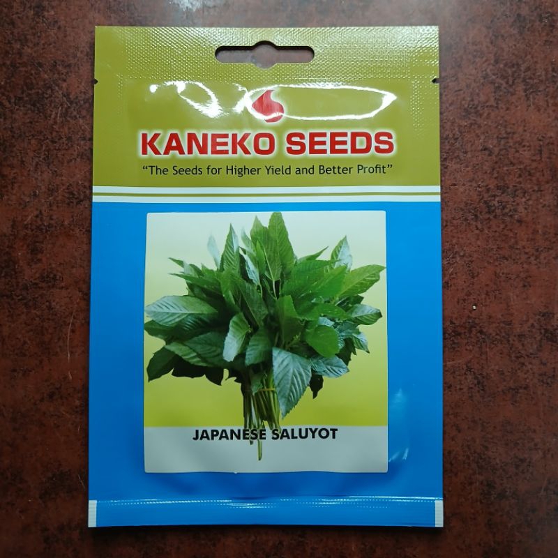 Japanese Saluyot (2 grams) Saluyot Seeds by Kaneko Seeds | Shopee ...