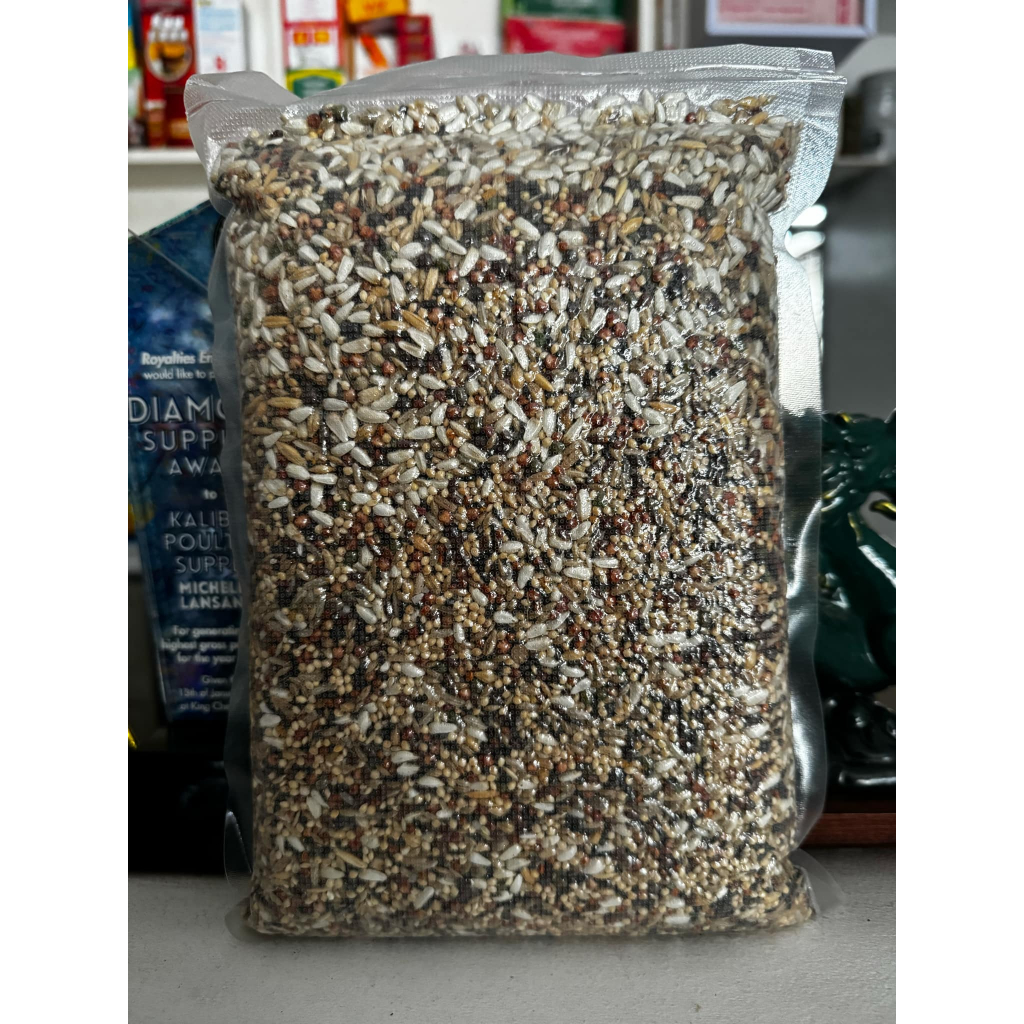 Sneaky Wonder Sneaky Mix 1 kg for Pigeons, SneakyWonder Sneakymix ...
