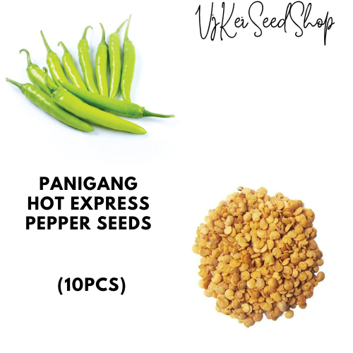 Sili Panigang Seeds (10pcs) | Shopee Philippines