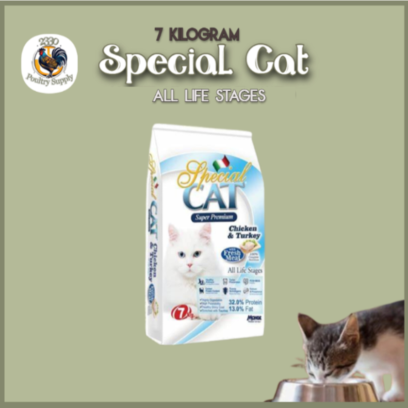 (7 kg) Special Cat Food | Shopee Philippines
