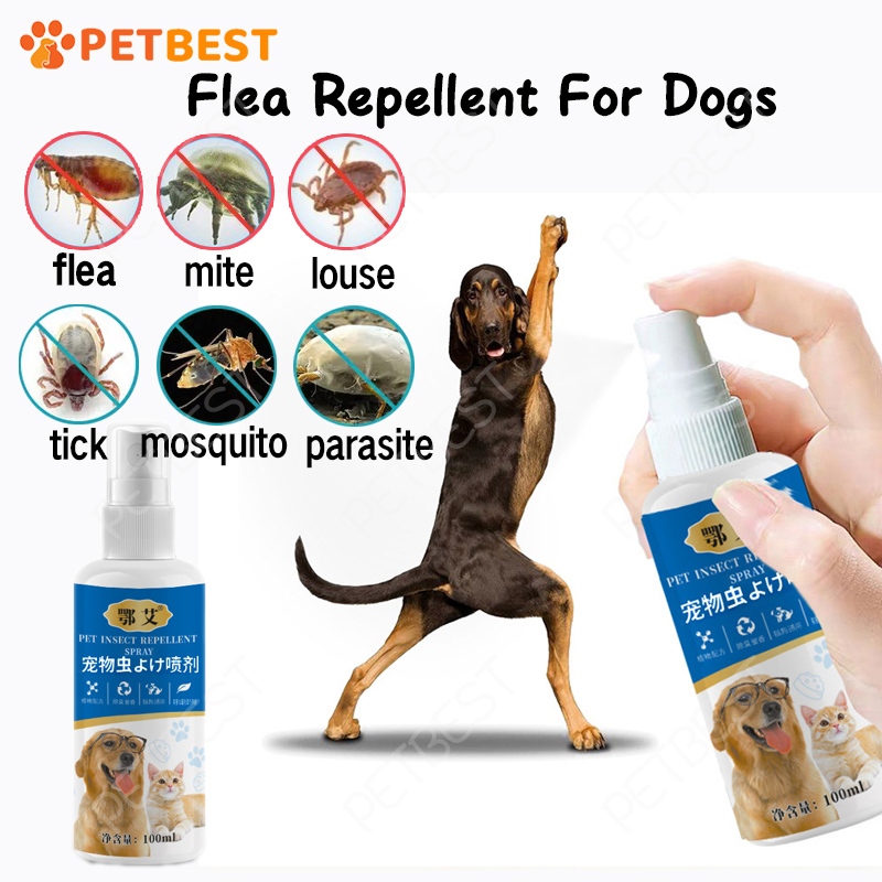 100ML Flea and Tick Remover for Dog and Cat Anti Garapata Remover for ...