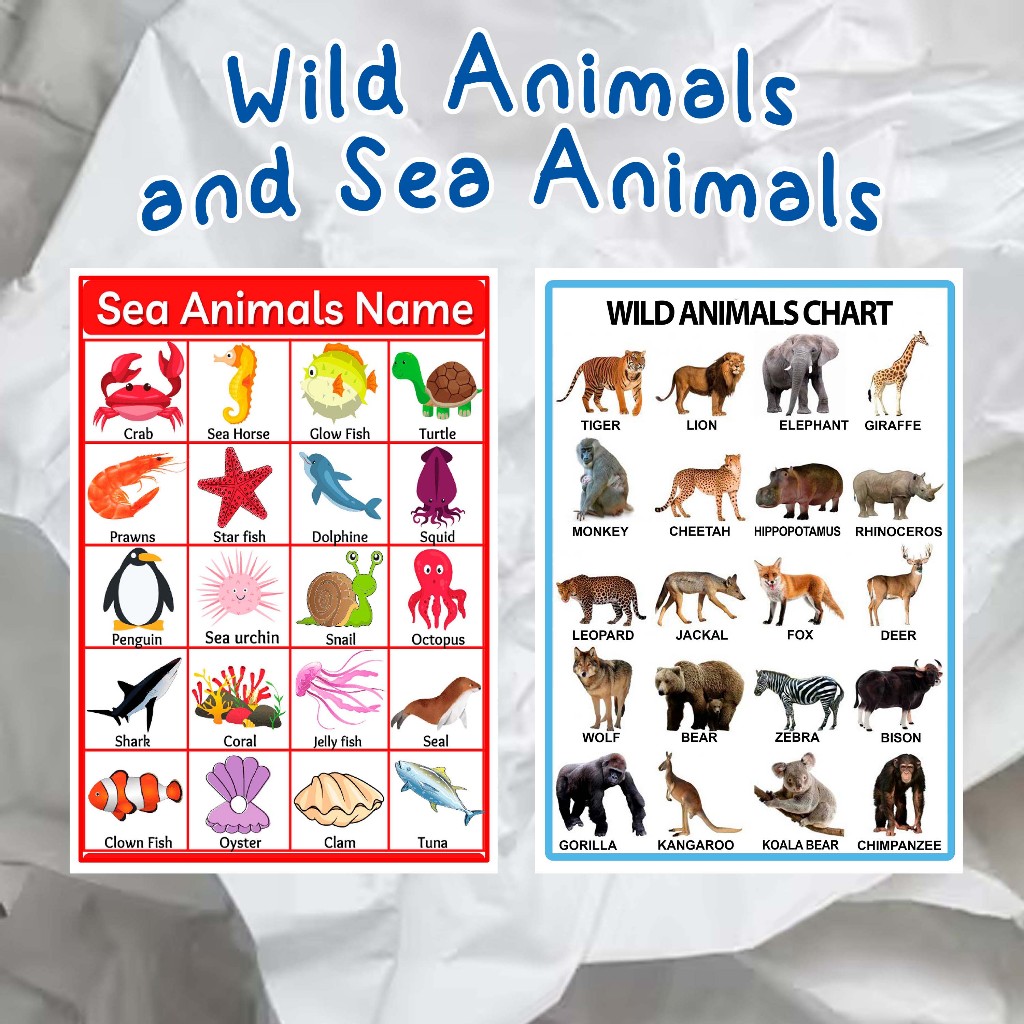 Animals Chart Laminated A4 Chart | Shopee Philippines