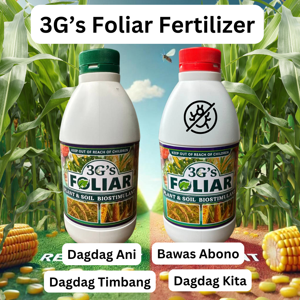 [TTB] 3Gs Japan Super Foliar Fertilizer Gold Plant Vegetable Rice Red ...