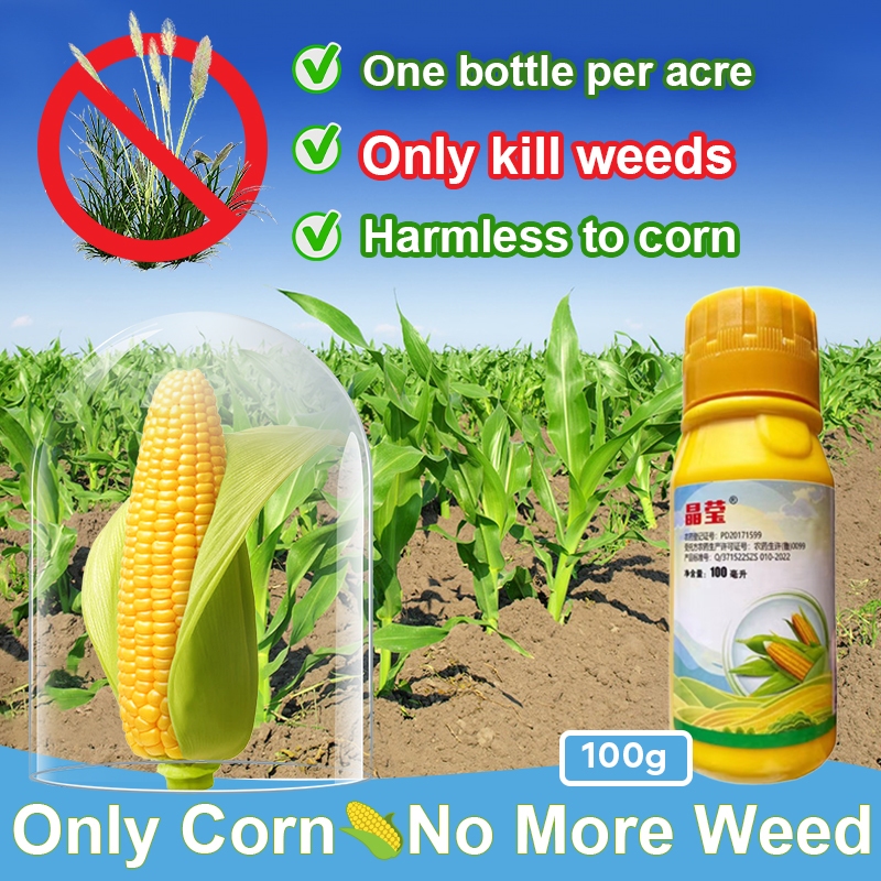 herbicide for corn 100ml sweet corn herbicide | Shopee Philippines