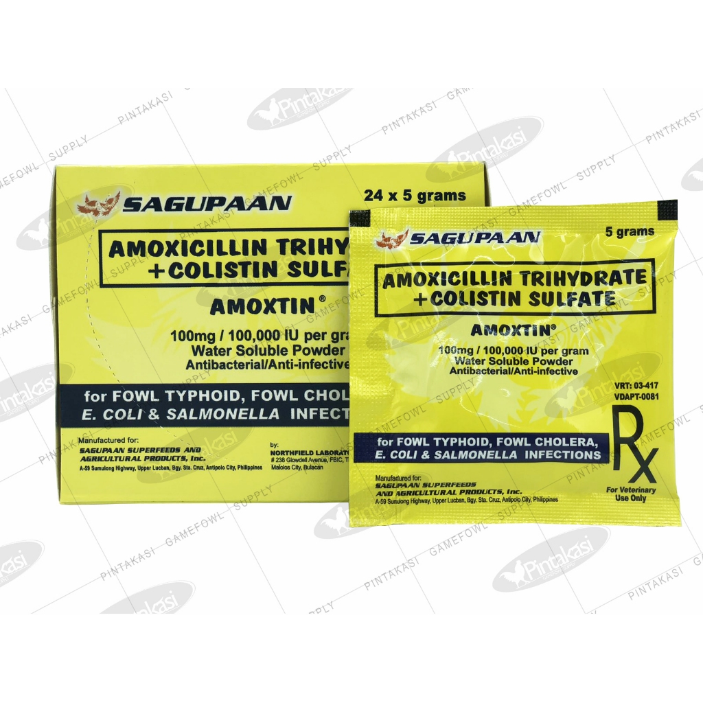 Sagupaan 5 sachet Amoxtin 5g Antibacterial / Anti-infective Water ...