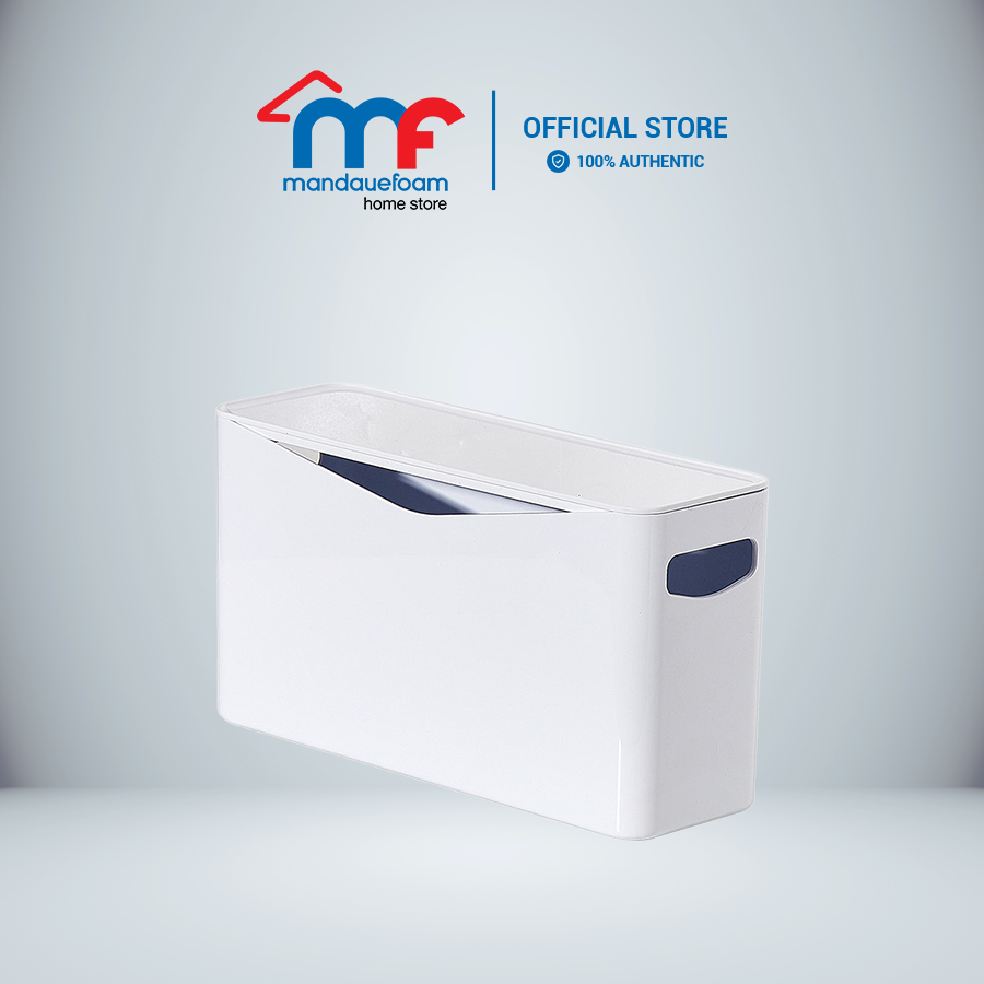 Mandaue Foam Tej Multi-storage Box with Lid | Shopee Philippines