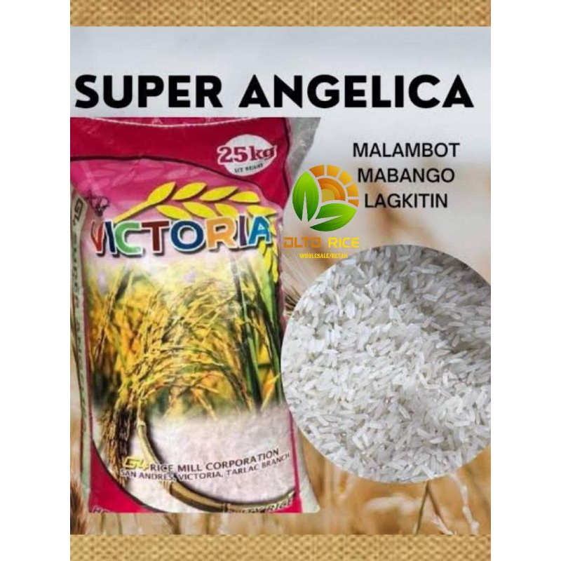 Victoria Angelica G4 25kg | Shopee Philippines