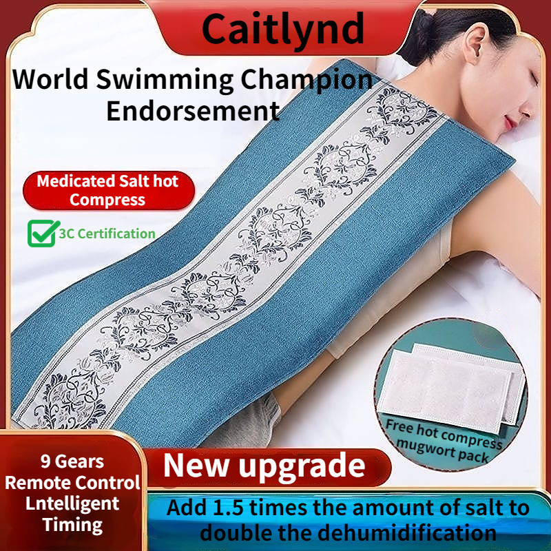 NEW Wormwood Sea Salt Back Pain Relief Effective Electric Heating Pad ...