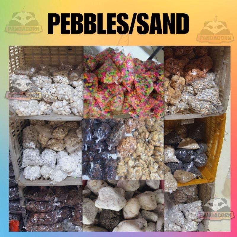 Pebbles Sand Garden Plants | Shopee Philippines