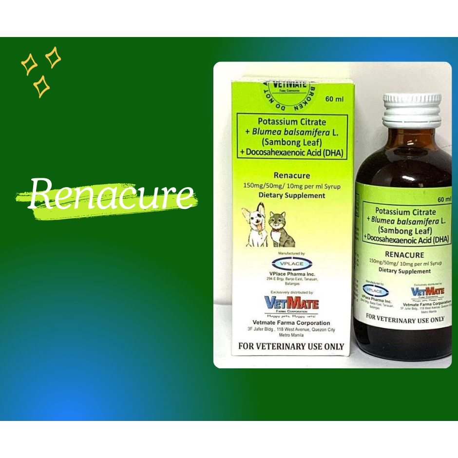 [RCG AGRIVET]1 BOTTLE RENACURE 60mL POTASSIUM CITRATE / BLUMEA ...