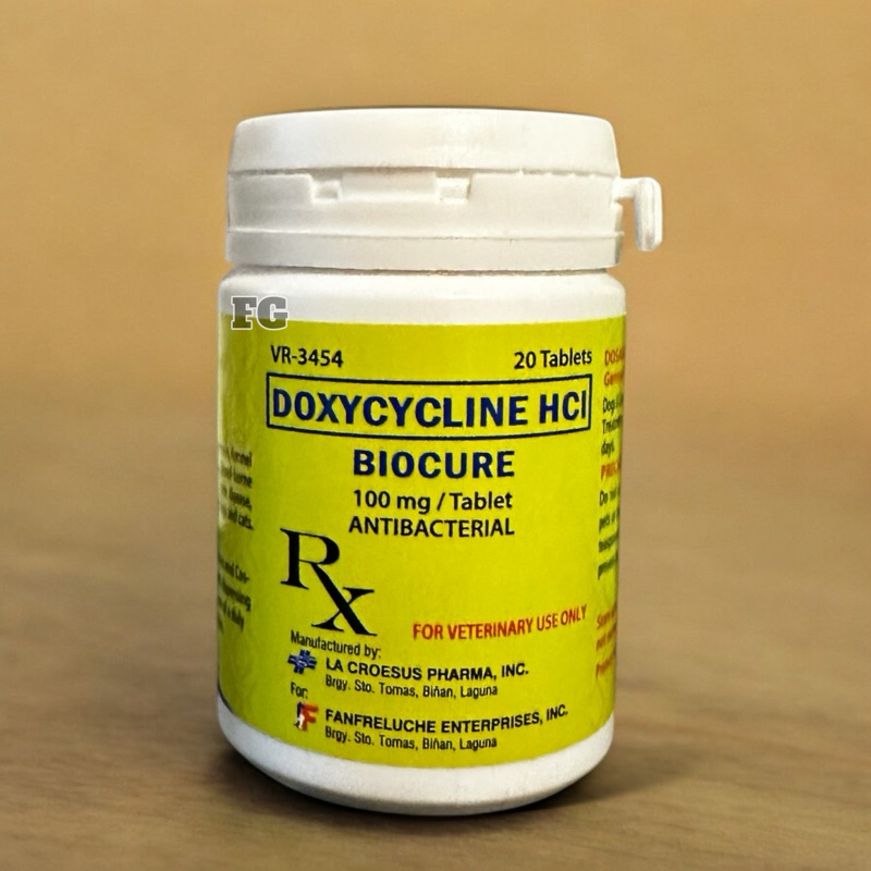 Biocure Doxycycline 100mg 20 Tablets | Shopee Philippines