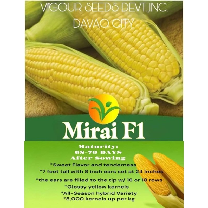 Japanese Sweet Corn Seeds, Sweet Mirai, 500g pack. | Shopee Philippines