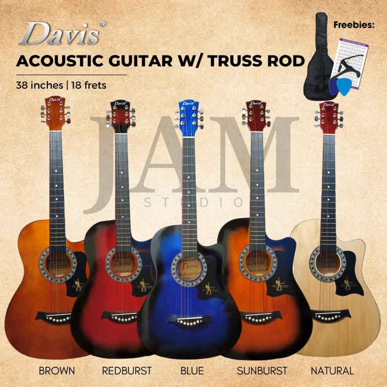 Davis 381 Acoustic Guitar w/ Trussrod, Colored Strings & Metal Tuning ...