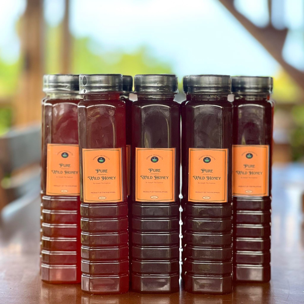 Pure Wild Honey - Dugos (100% Authentic) 300 ML | Shopee Philippines
