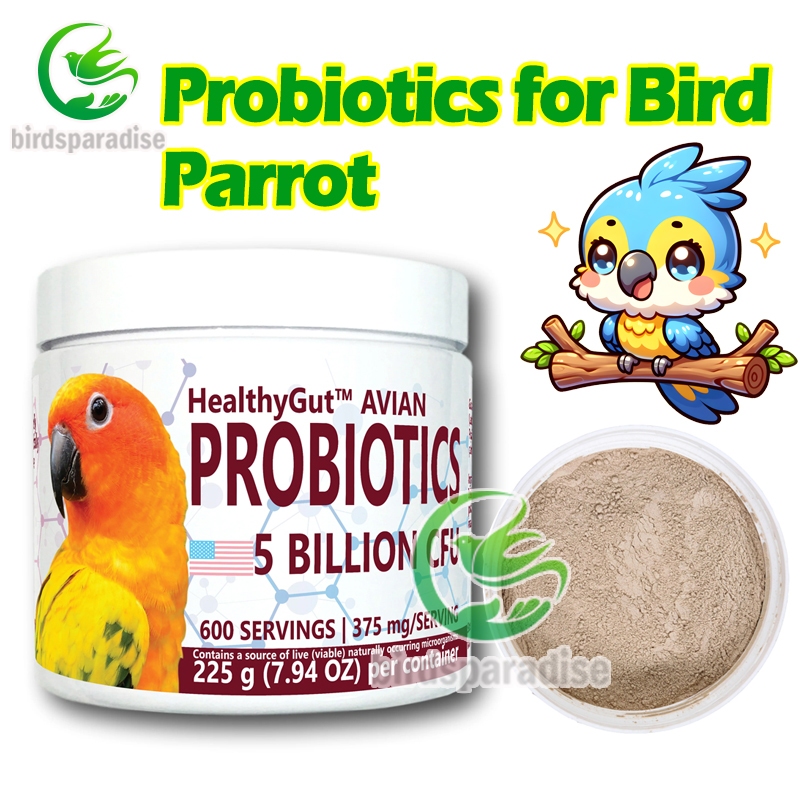 PROBIOTICS for birds Parrot probiotics multivitamins supplement ...