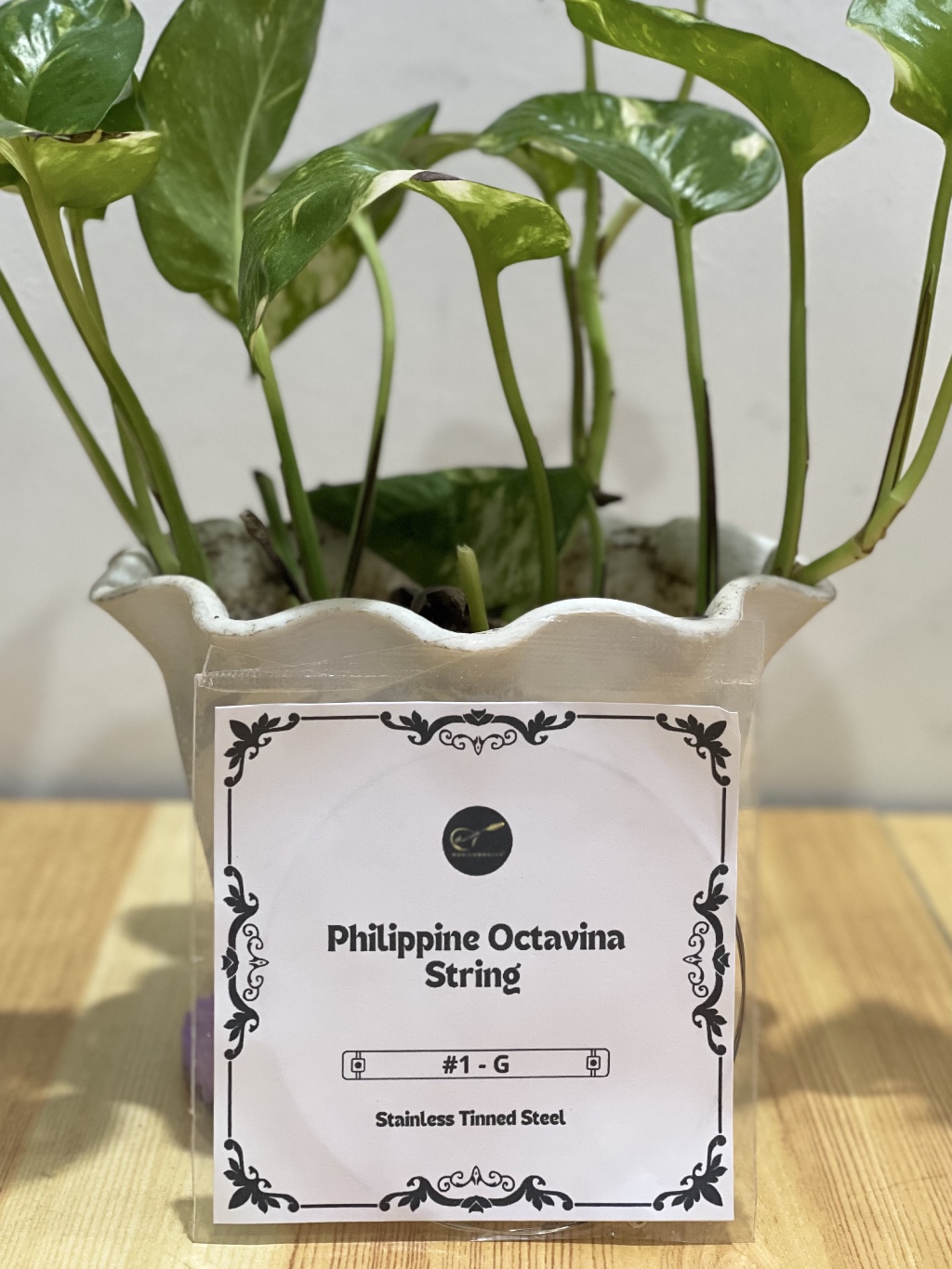 Strings for Octavina (Stainless Steel and Silver-Plated Copper Wound ...