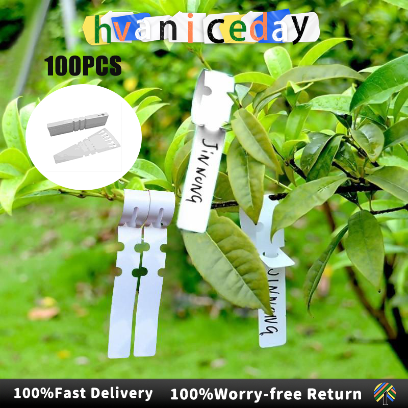 100PCS Adjustable Tree Ties Wrap Around Hanging Signs Plastic Nursery ...