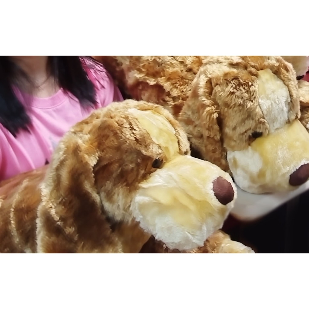 Life size Dog Stuffed Toy - Big Huggable and looks like real - Perfect ...