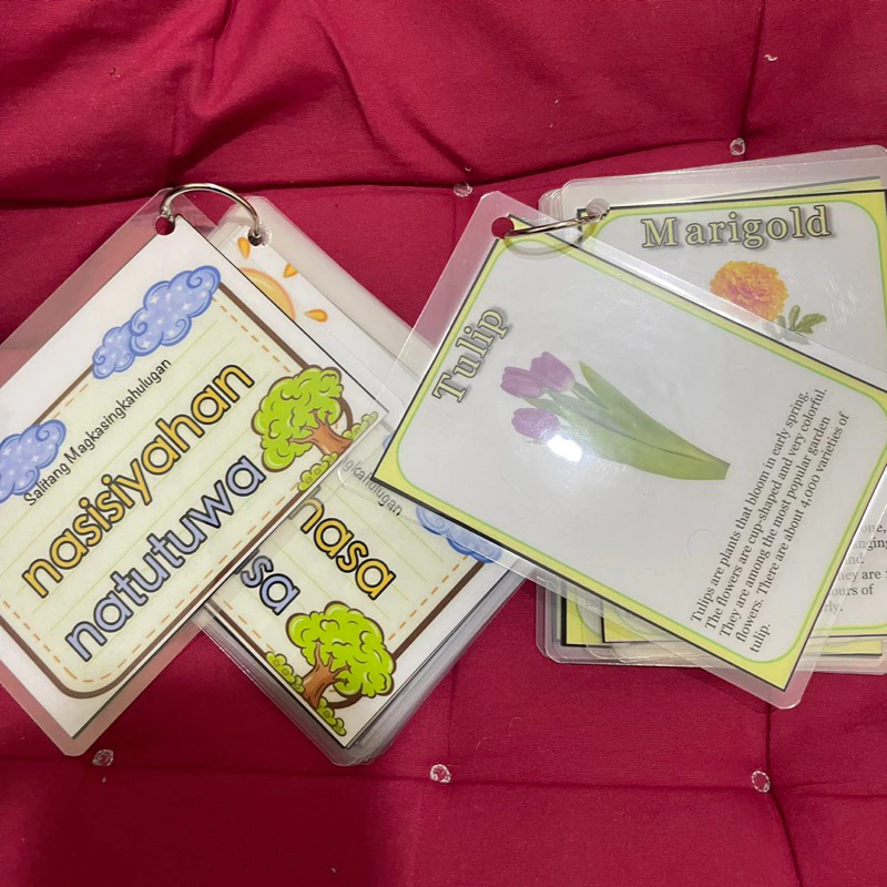 FLASH CARDS BACK TO BACK (FLOWERS, MAGKASING KAHULUGAN) | Shopee ...