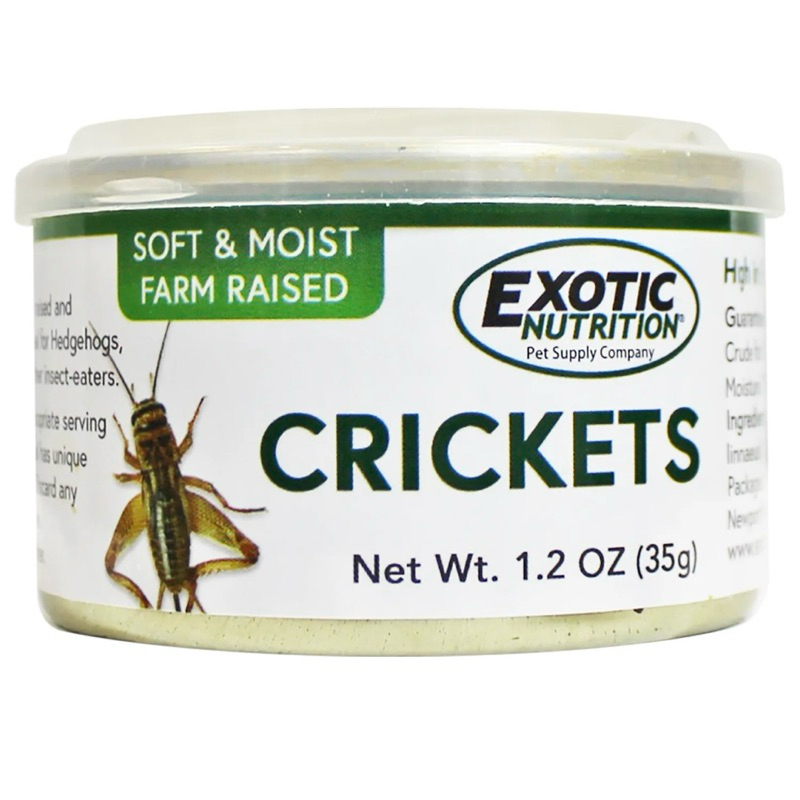 Canned Crickets | Sugar Glider Treats | Birds/Reptiles etc. | Shopee ...