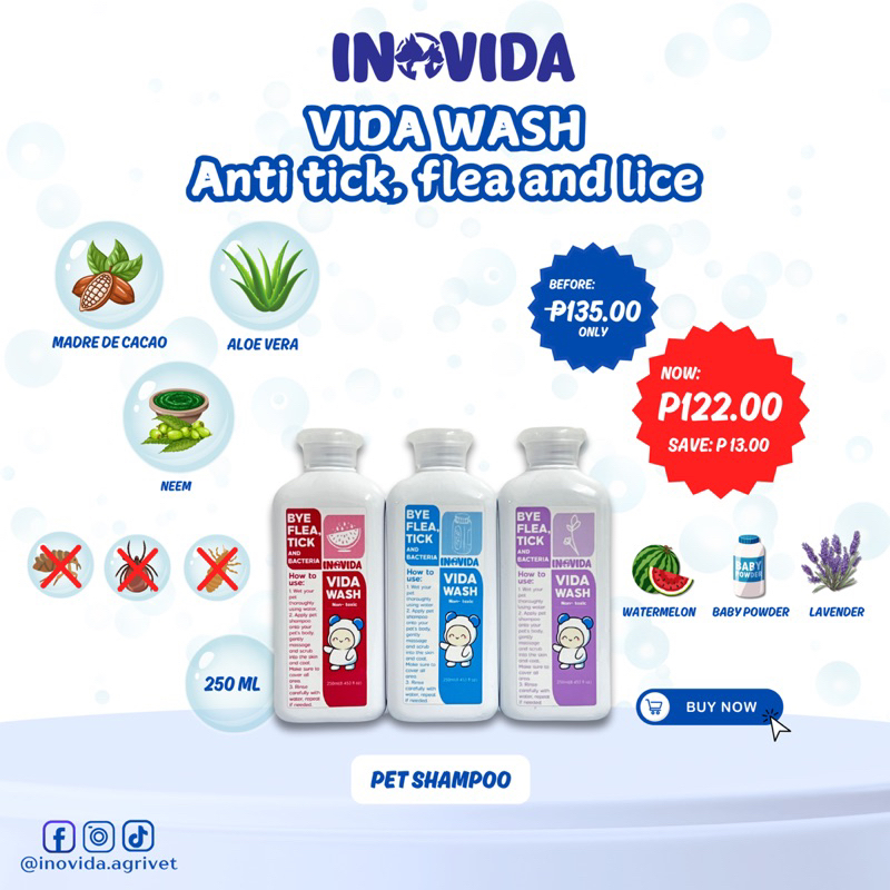 VIDA WASH 250 AND 500 ML | Shopee Philippines