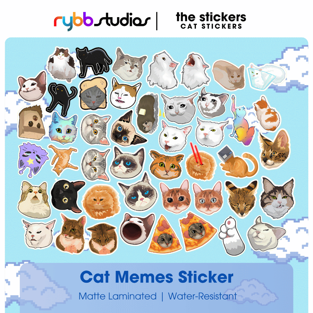 Cat Meme Sticker #2 | Funny and Cute Sticker | The Stickers by RYBB ...