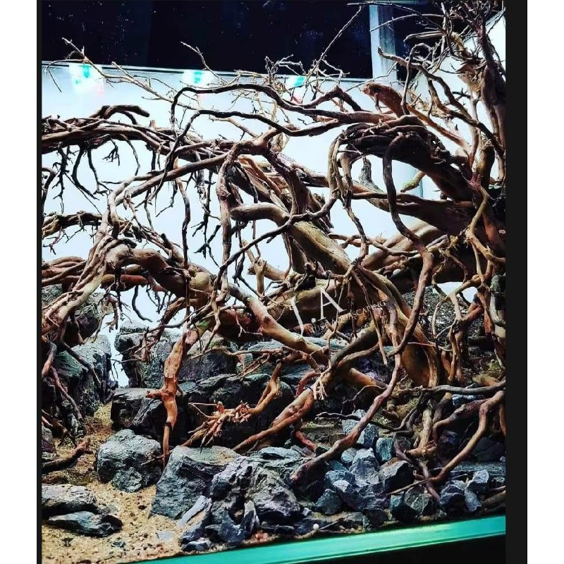 Woods For Forrest Scape Scenery for Aquarium Terrarium - Natural Wood ...
