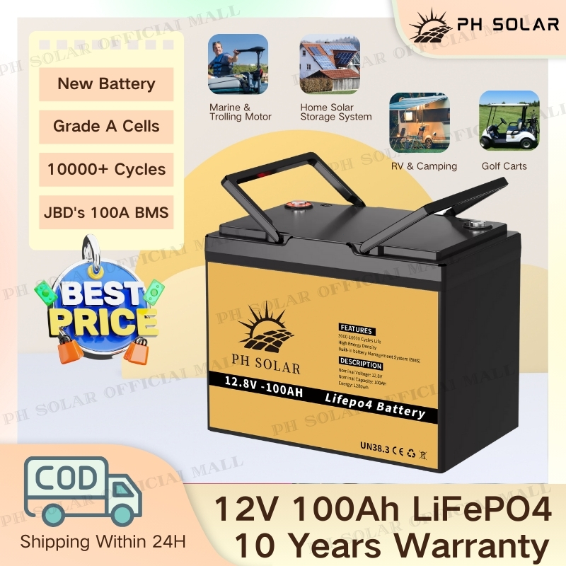LiFePO4 Lithium Battery 12V 100Ah Grade A Cells 10000+ Cycles 100A BMS ...