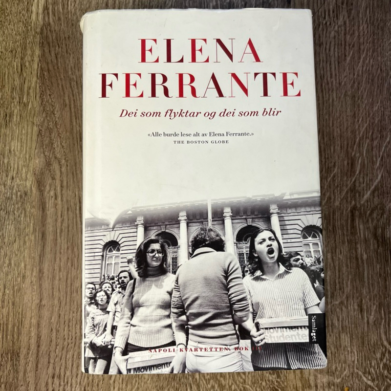 Those Who Leave and Those Who Stay by Elena Ferrante ( Neapolitan ...