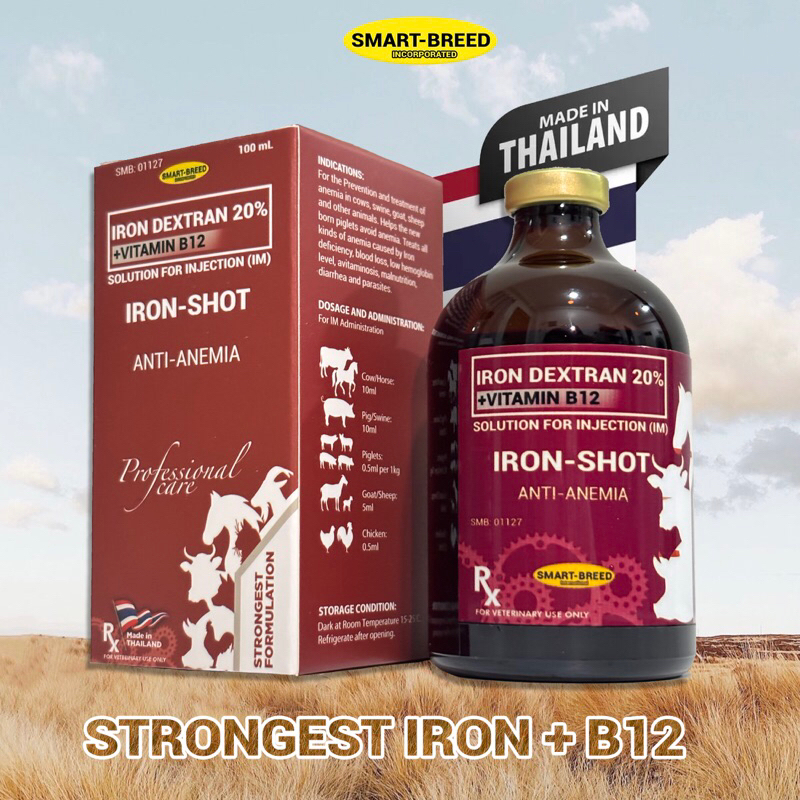 IRON Dextran Iron-Shot Anti-Anemia 100ML | Shopee Philippines