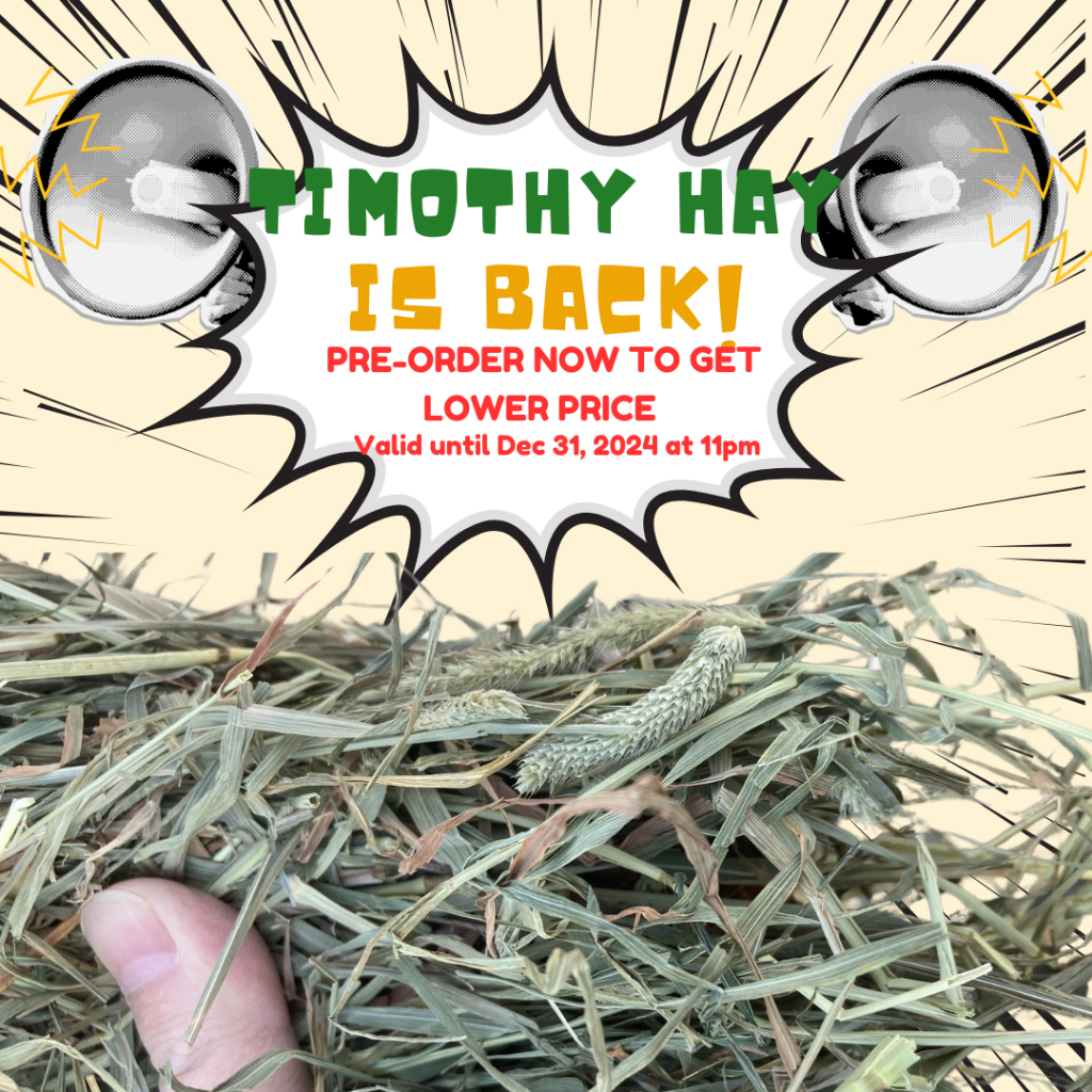 Timothy Hay 1kg (1st & 2nd Cut) for rabbit , goat , cows , tortoise and ...