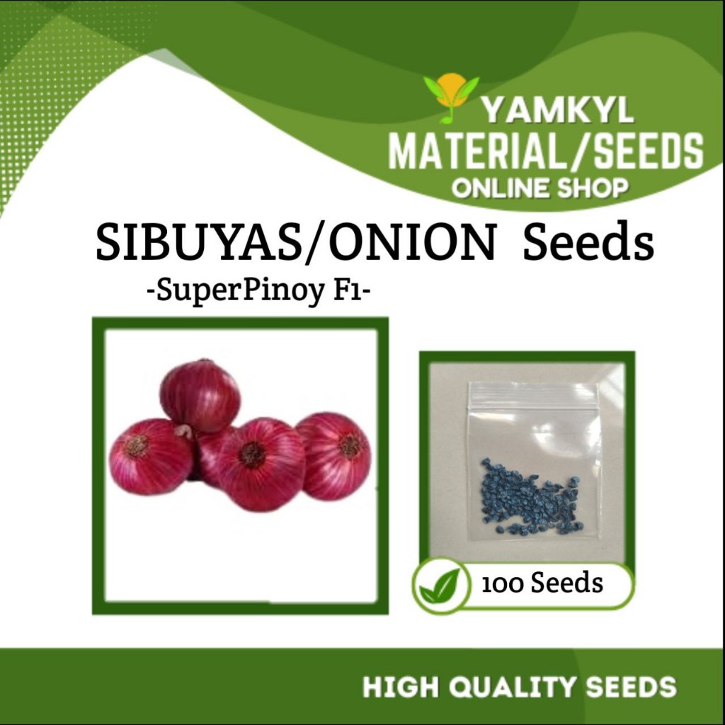 ONION/SIBUYAS (SUPER PINOY F1) High Quality Seeds | Shopee Philippines